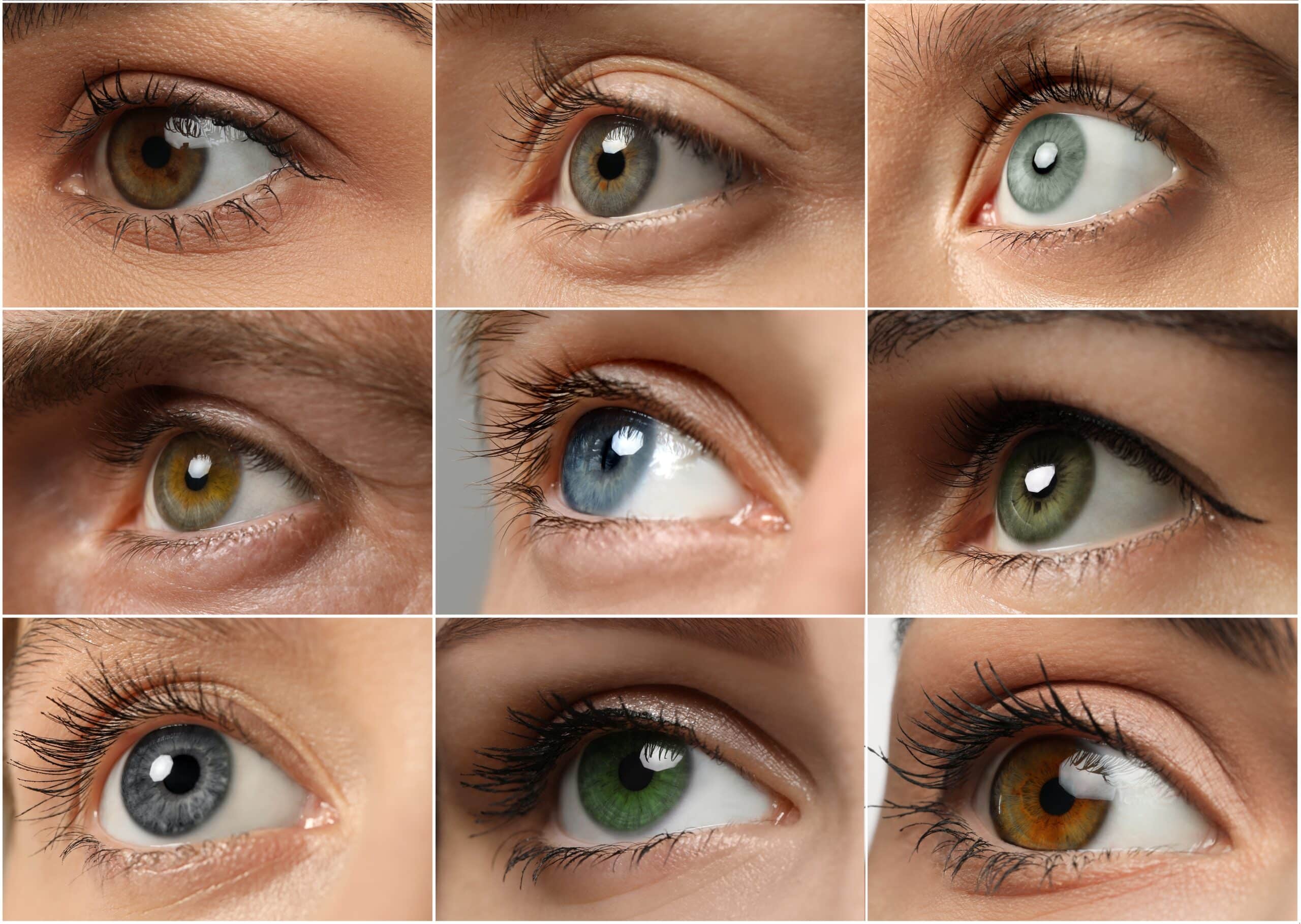 Can Eye Colour Change with Age? - Laurier Optical | Innes Eye Clinic